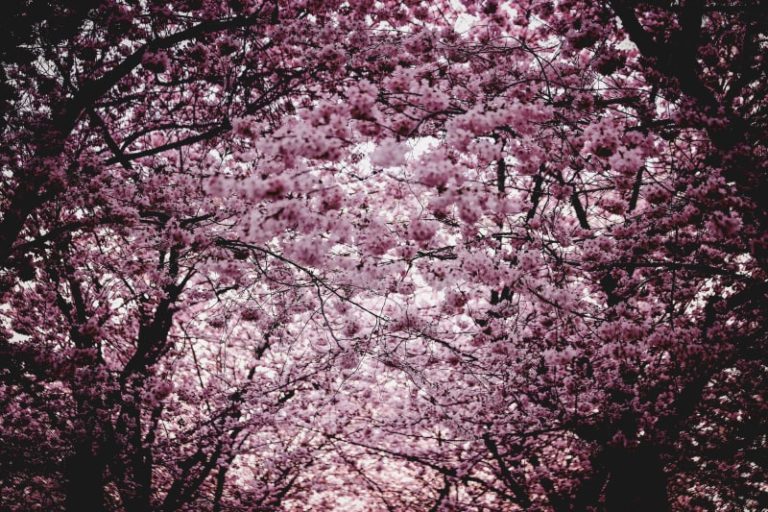 命がヤバくても行ってみたい。世界観が魅力的なSCP報告書6選 | 退屈ブレイキング