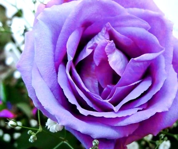 【2023年版】ガチで面白いSCP報告書50選。隠れた名作や入賞作も【2】 | 退屈ブレイキング